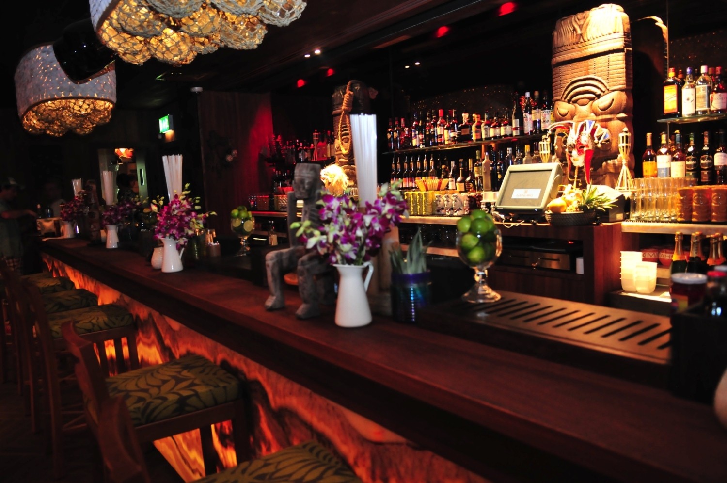 Mahiki Dubai | WA International